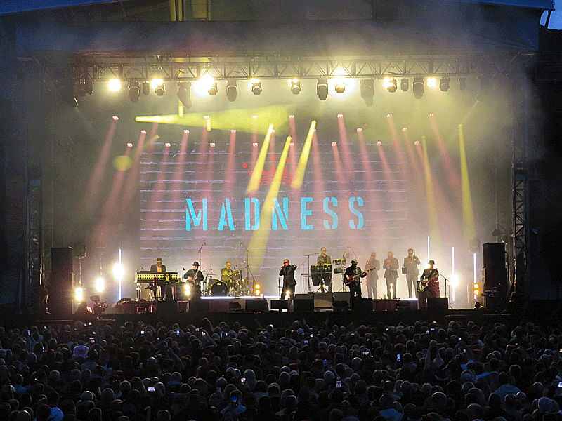 Madness – themumble.uk